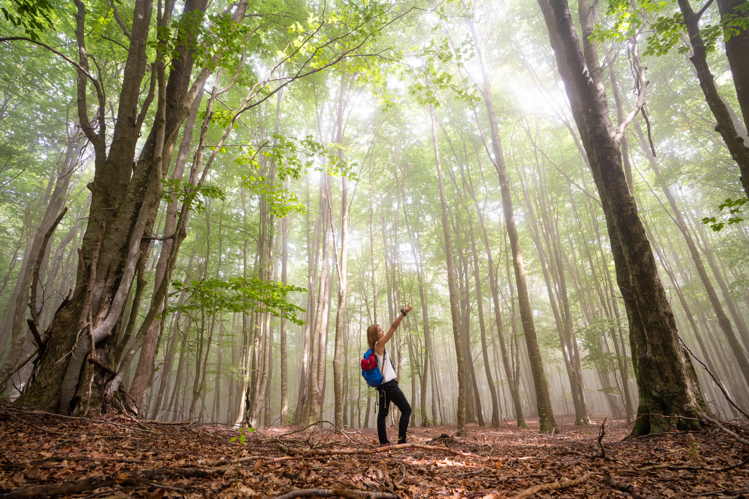 Olot i Santa Pau: un bany de greda i natura – Revista Sortida